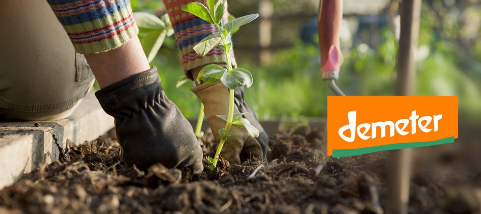 Demeter - Bio Dynamic