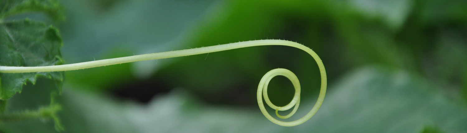 Purchasing Demeter Food - Biodynamics New Zealand