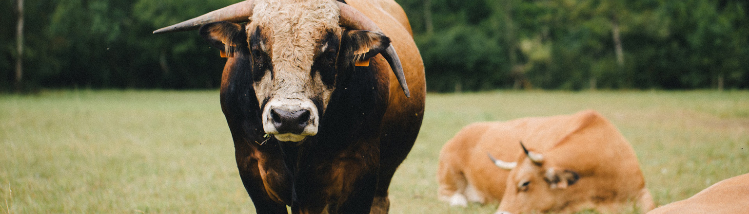 Applying for Demeter Certification - Biodynamics New Zealand