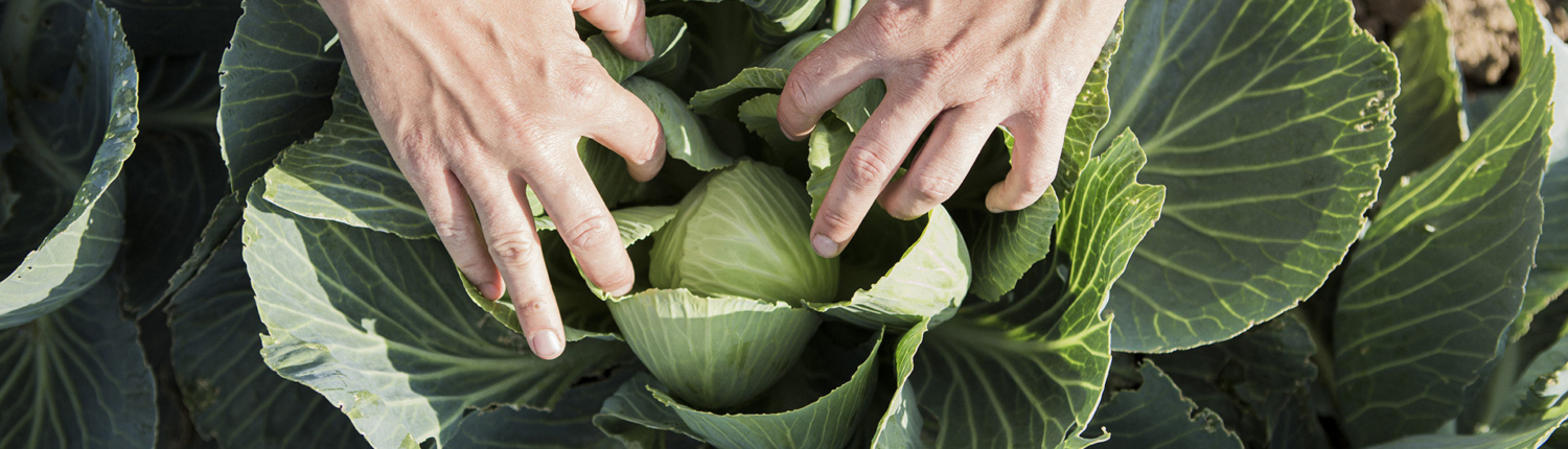 Education & Resources - Biodynamics New Zealand