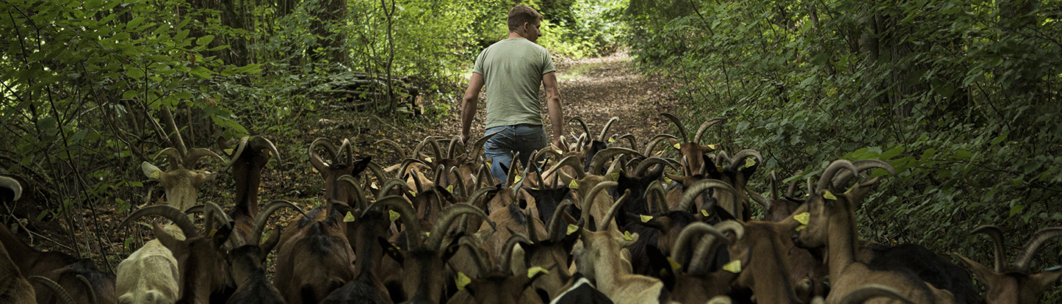 Demeter - Biodynamics New Zealand