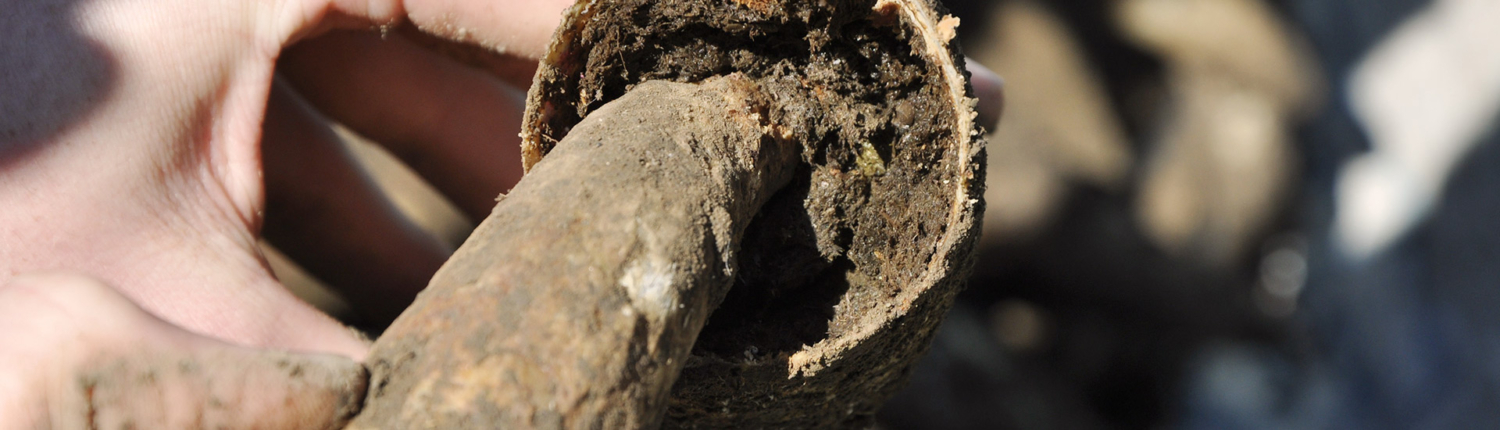 Information on the Biodynamic Preparations - Biodynamics New Zealand