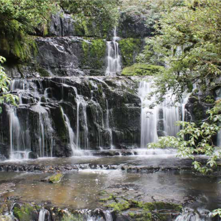Traditional Māori Agriculture and Biodynamics - Biodynamics New Zealand