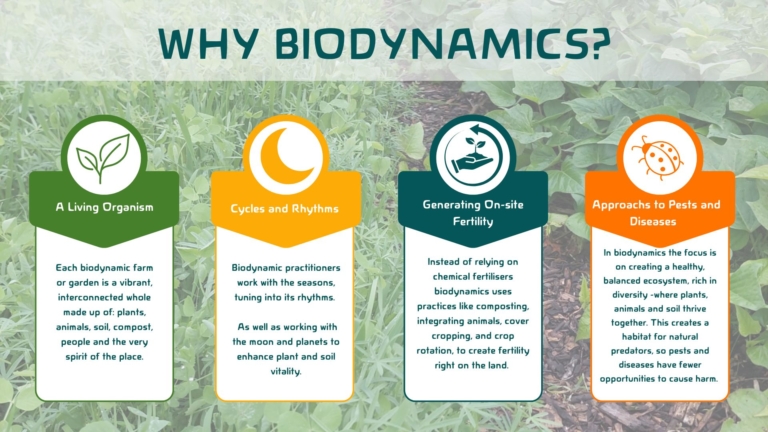 Biodynamics Association New Zealand